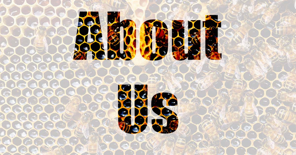 Company details | Contact details | Freephone UK |Seer Computing