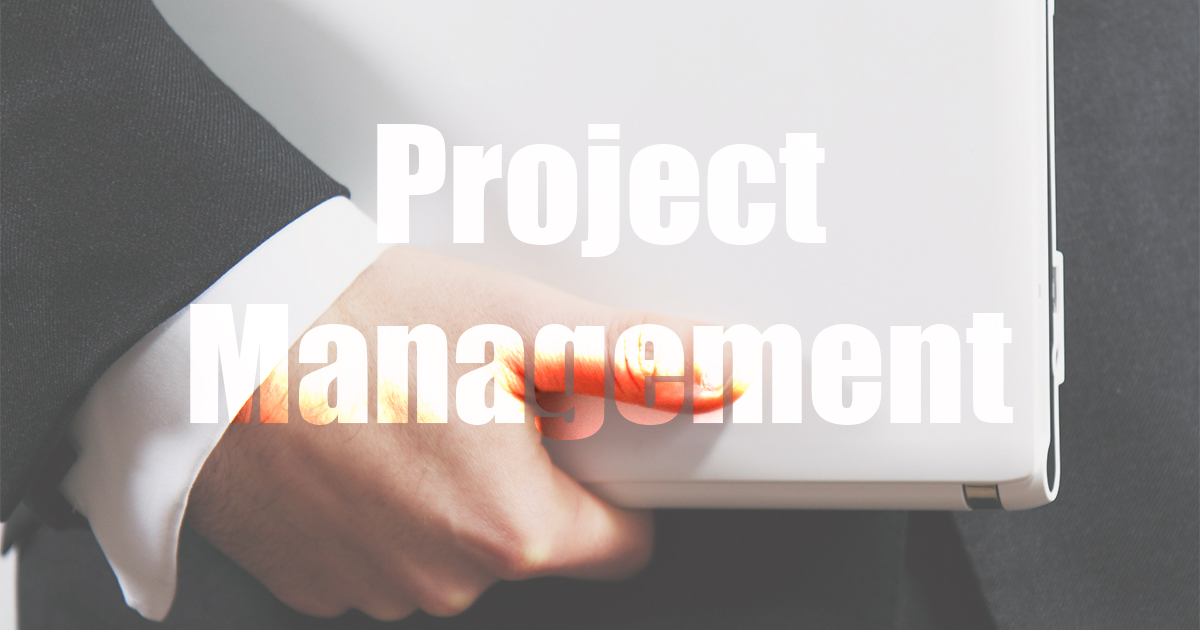 Project Management Consultancy | UK & Ireland | Seer Computing